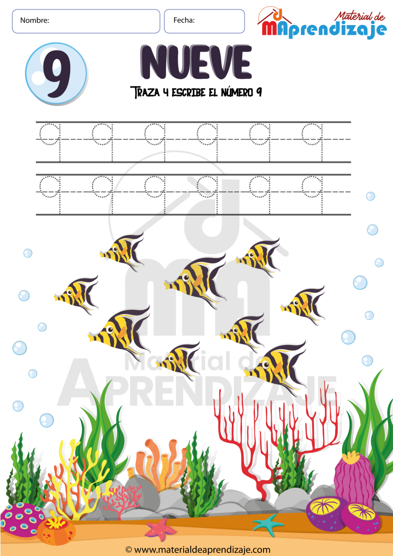 Fichas de aplicación “El número 9” | Material de Aprendizaje