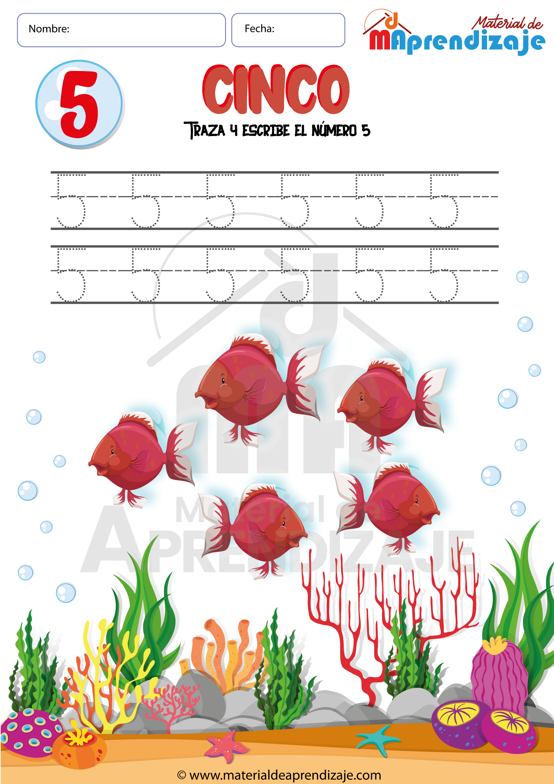 Fichas de aplicación “El número 5” | Material de Aprendizaje