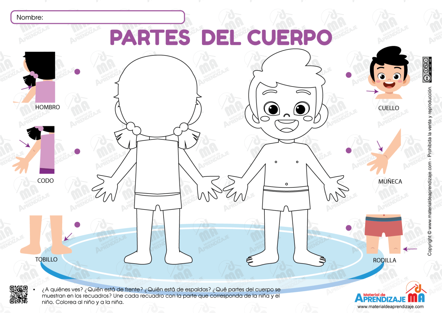 Las Partes del Cuerpo: Ficha Imprimible para Niños de 4 Años | Material ...