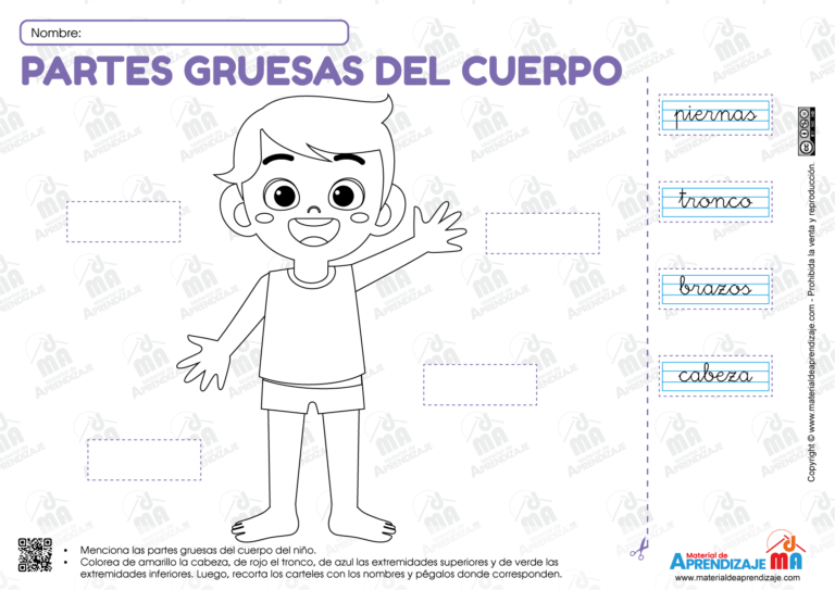 Las Partes del Cuerpo: Ficha Imprimible para Niños de 5 Años | Material ...