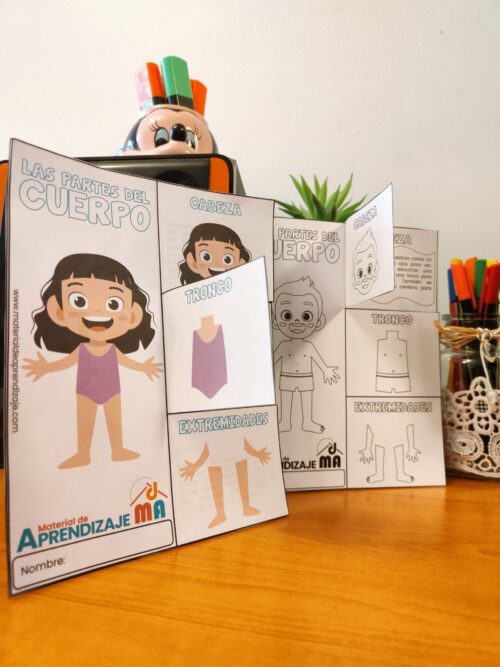 Las partes del cuerpo + Flapbook interactivo - 1er grado de primaria ...