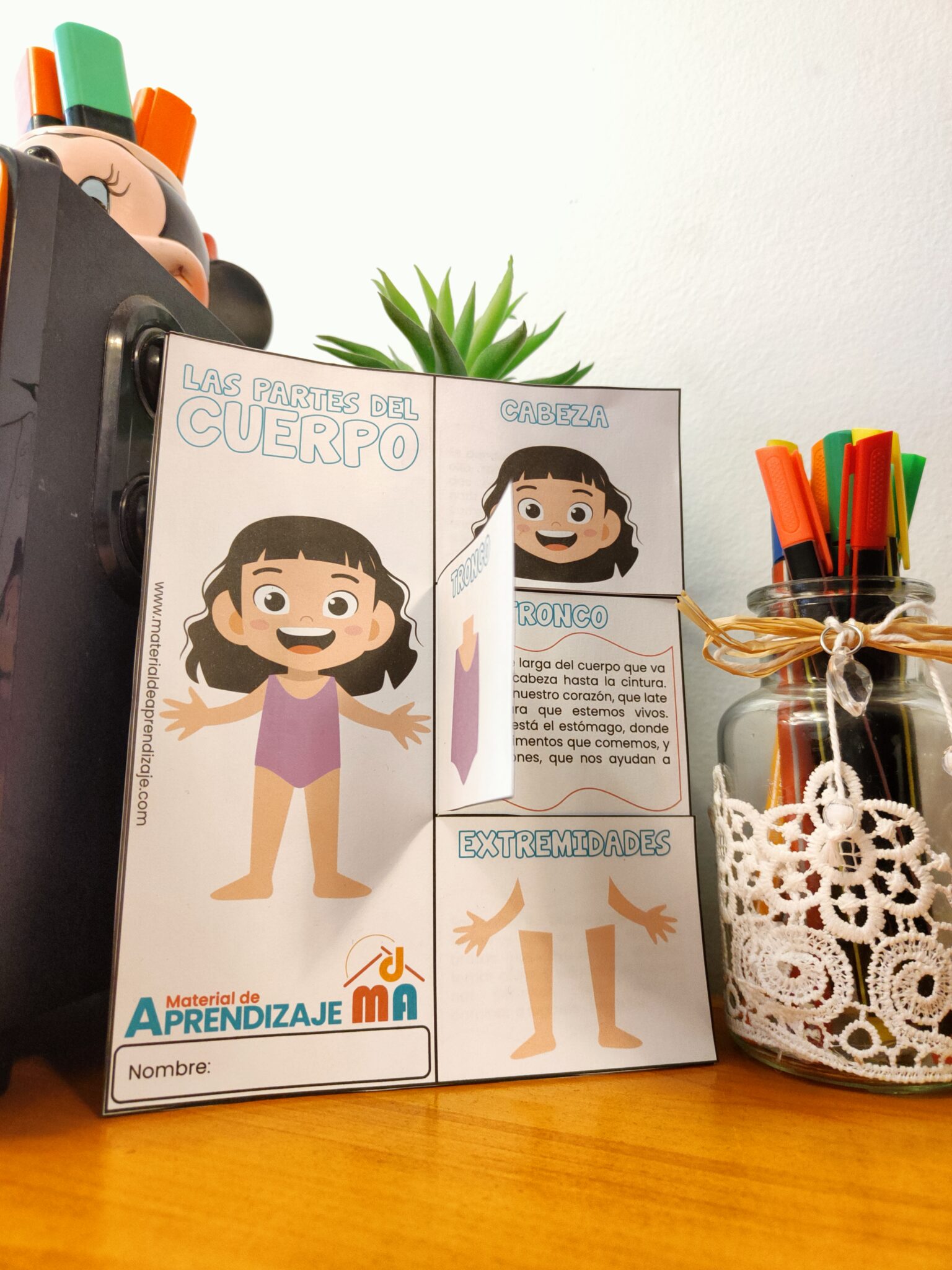 Las partes del cuerpo + Flapbook interactivo - 1er grado de primaria ...